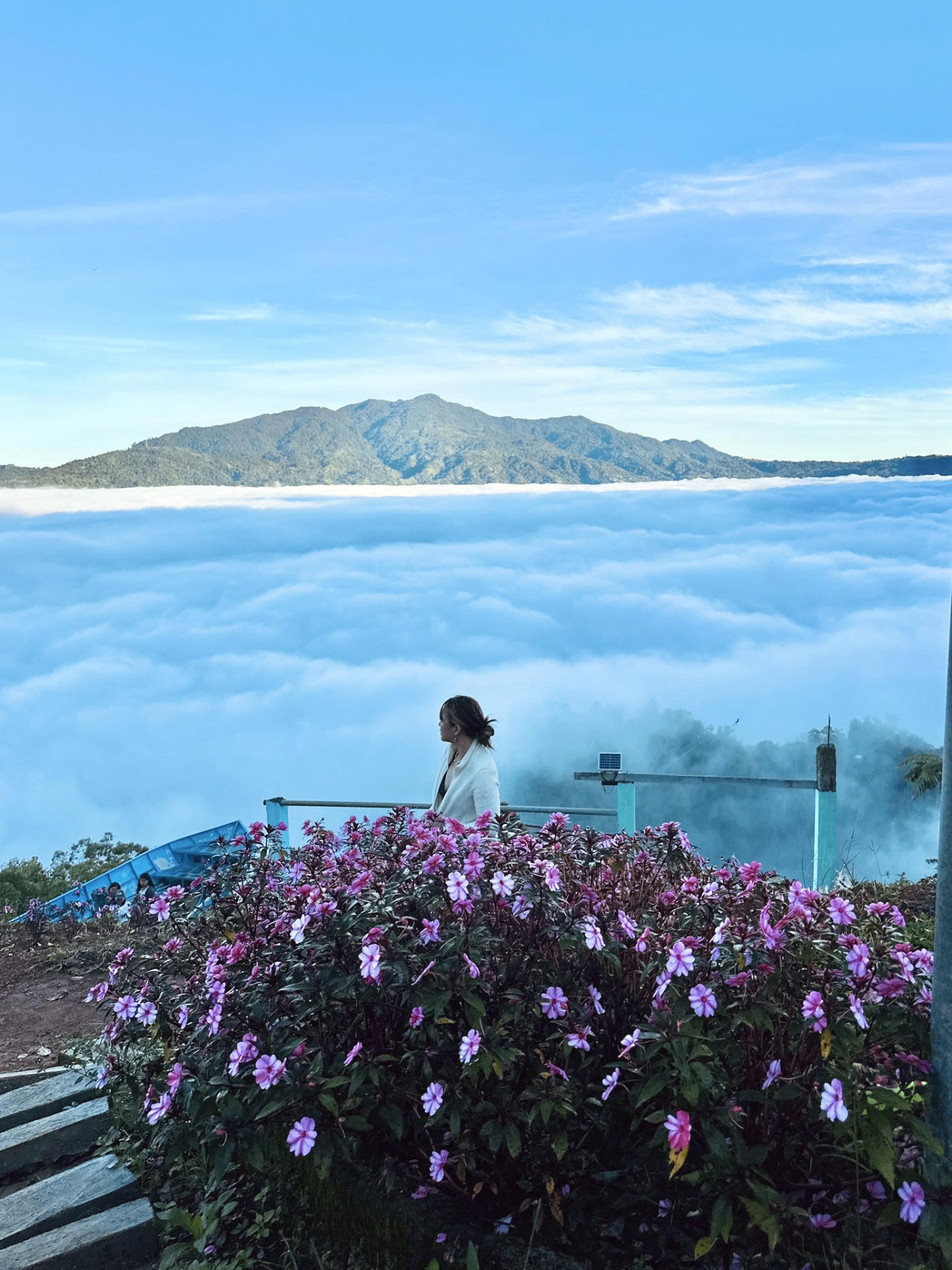 Calamba Farm Sea of Clouds | Mountain Resort & Sunrise Views in ...