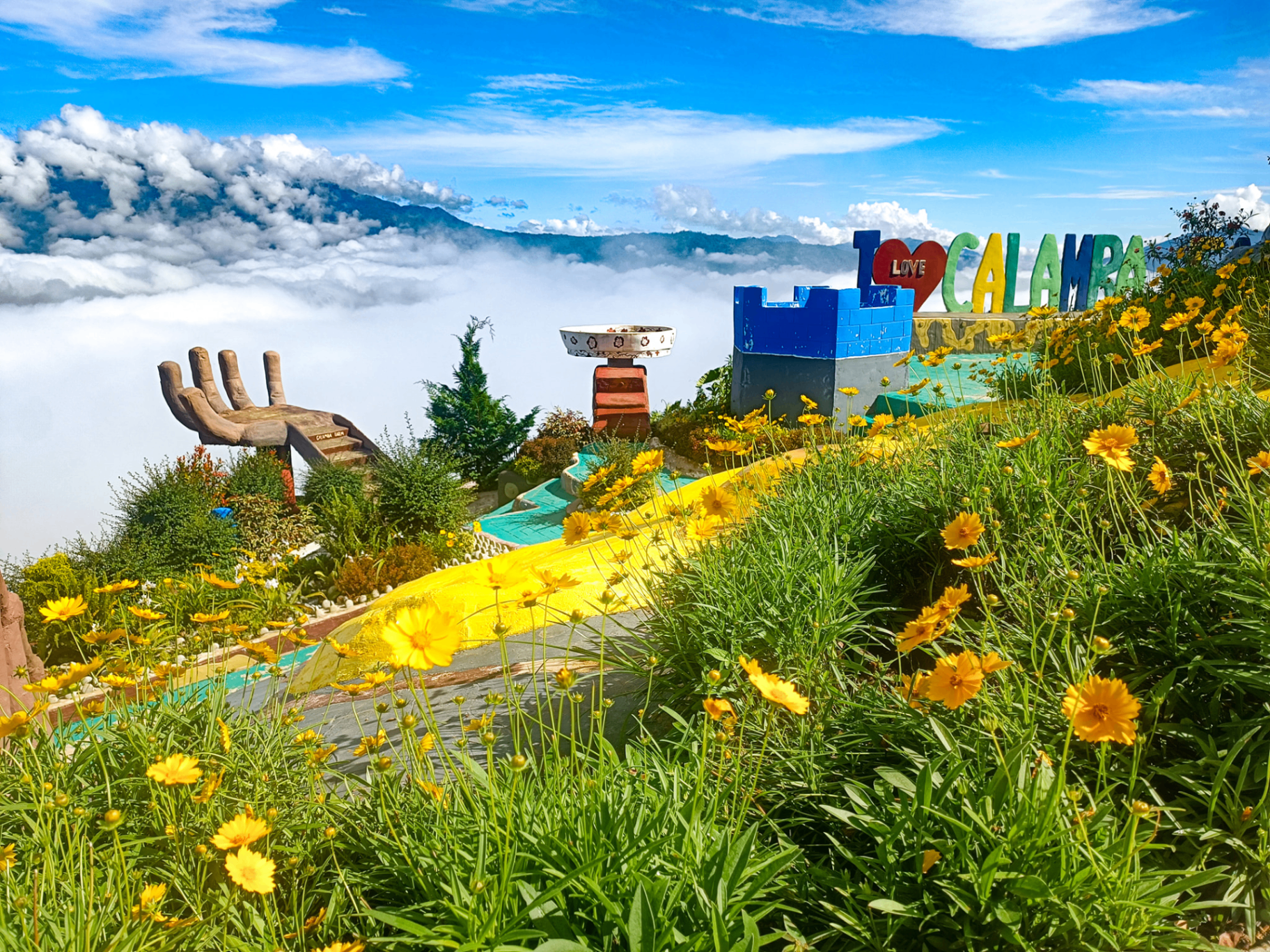 Calamba Farm Sea of Clouds | Mountain Resort & Sunrise Views in ...