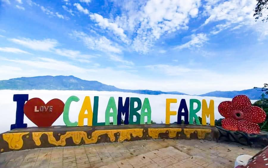 Calamba Farm Sea of Clouds | Mountain Resort & Sunrise Views in ...